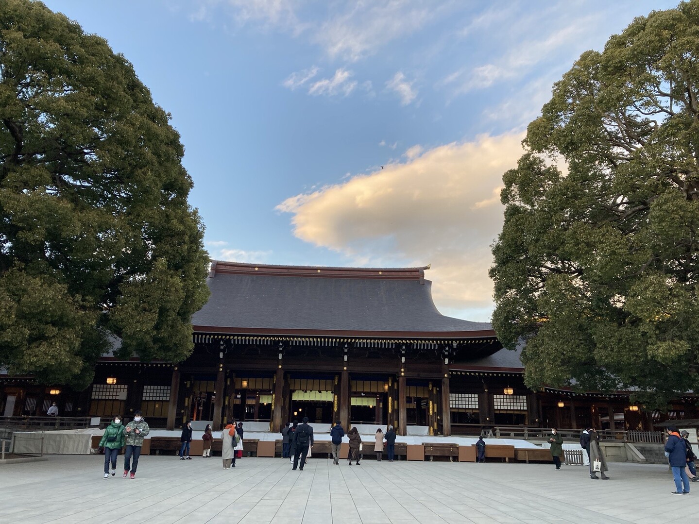 ただただ歩きたくて-2021-01-09 / kakoチャンさんのウォーキングの活動データ | YAMAP / ヤマップ