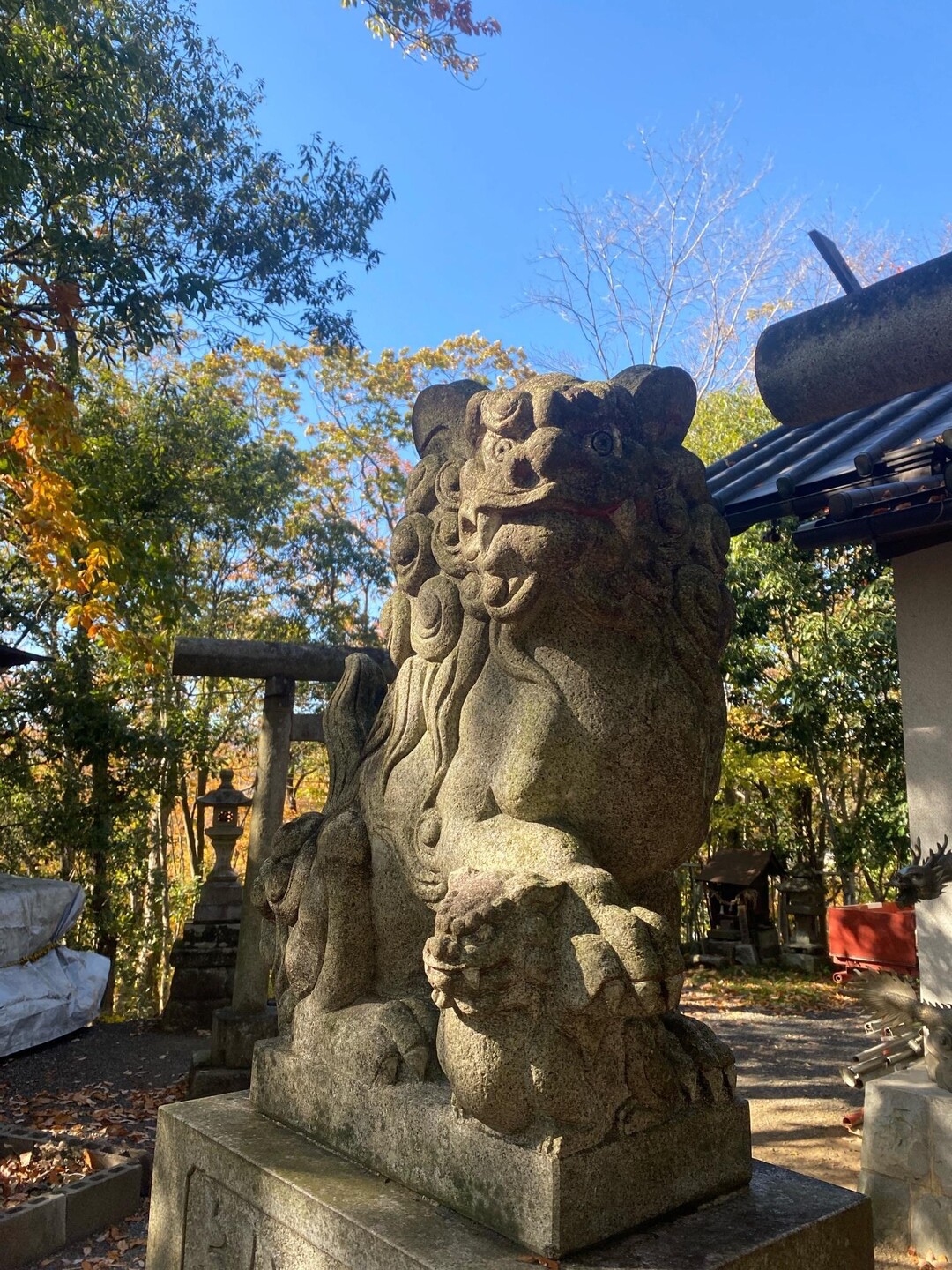 高尾山・こんぴら山 / OS@MUさんの高尾山・陣馬山・景信山の活動データ | YAMAP / ヤマップ