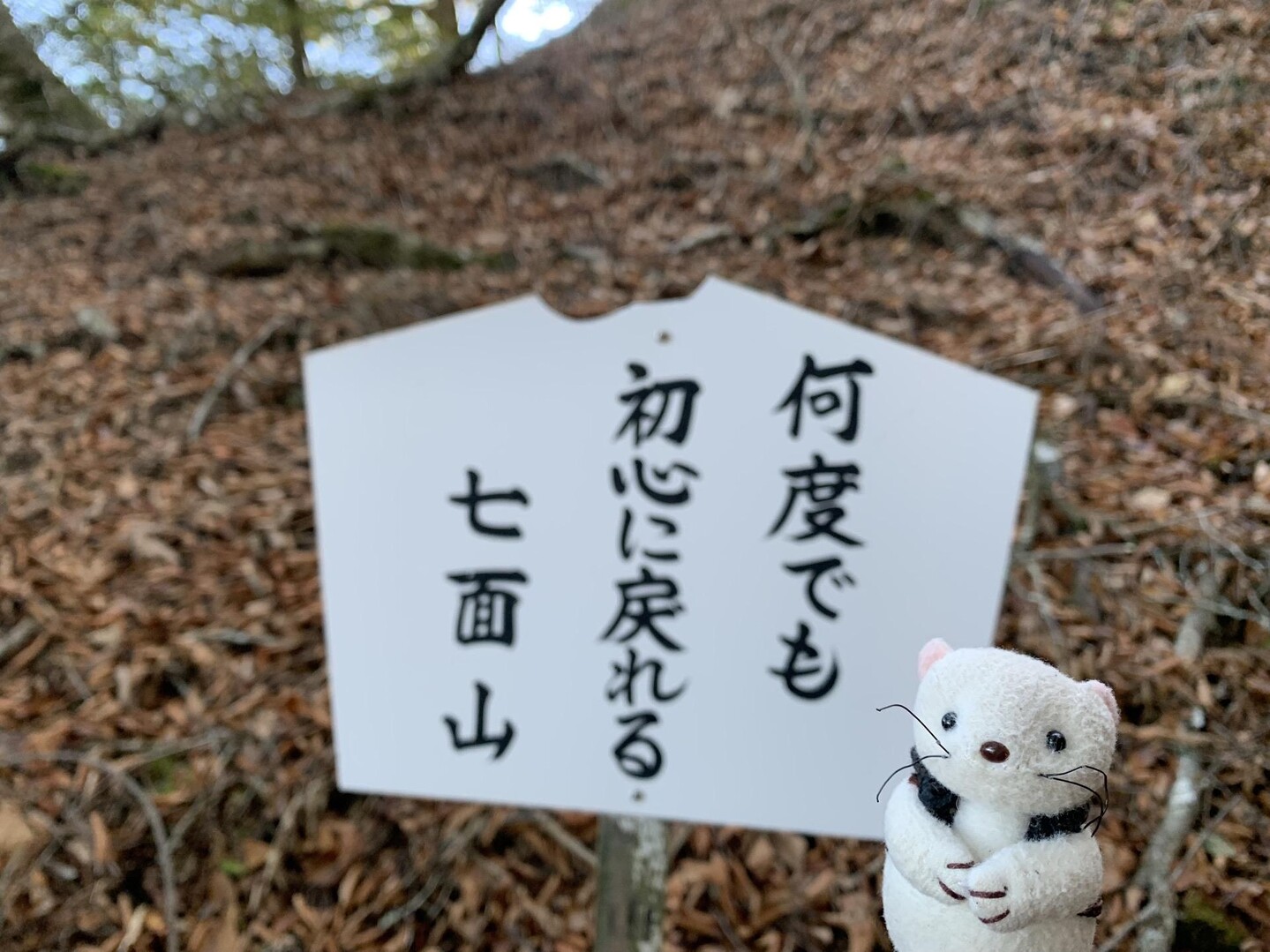 七面山・希望峰 修行の山 / ARさんの七面山・身延山の活動データ | YAMAP / ヤマップ