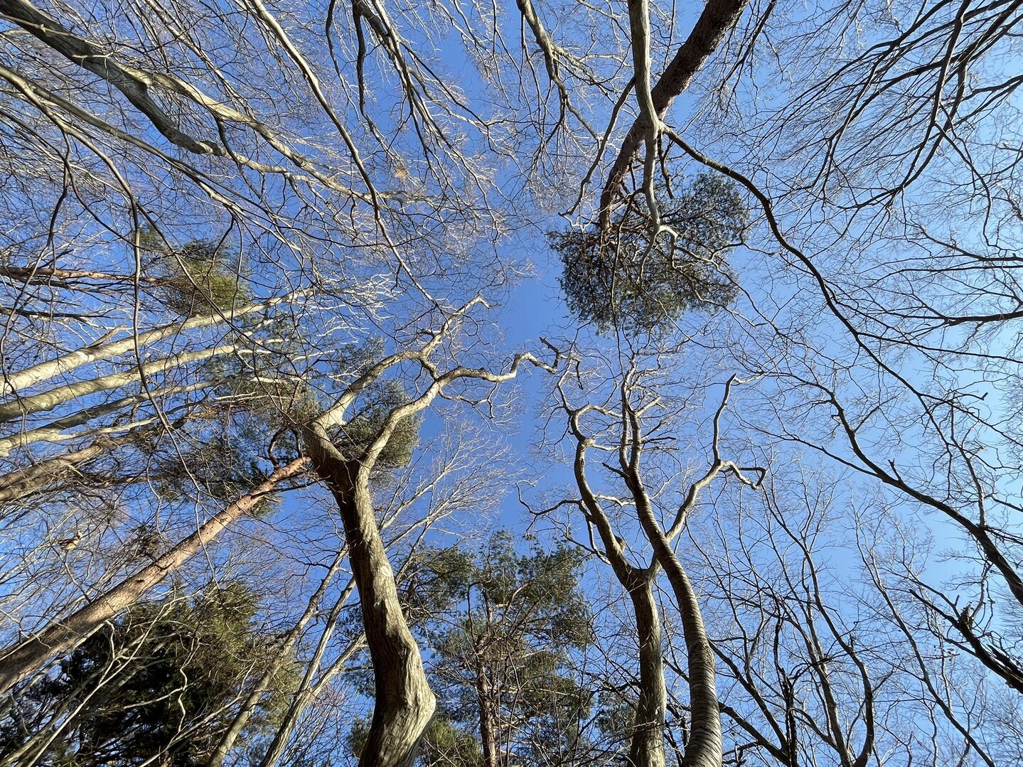 2022.11.27(日) 20:56 / ケロケロ🐸🐸🐸さんのモーメント | YAMAP / ヤマップ