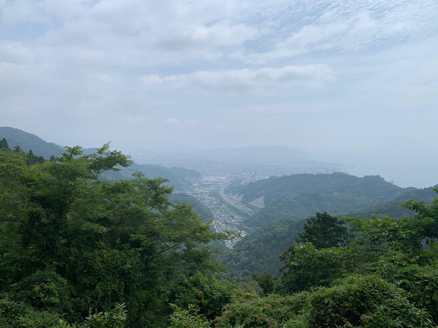 花沢山・満観峰・大ベラ山・高草山(東峰)・高草山（西峰） / ma-tinさんの焼津アルプス（高草山・満観峰・花沢山）・徳願寺山の活動データ | YAMAP / ヤマップ
