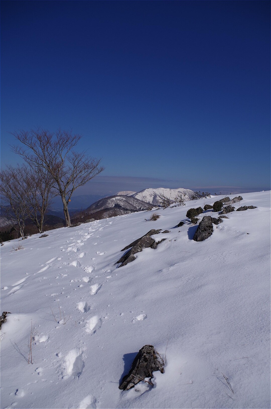 高室山 / ぺんたBoyさんの高室山の活動データ | YAMAP / ヤマップ