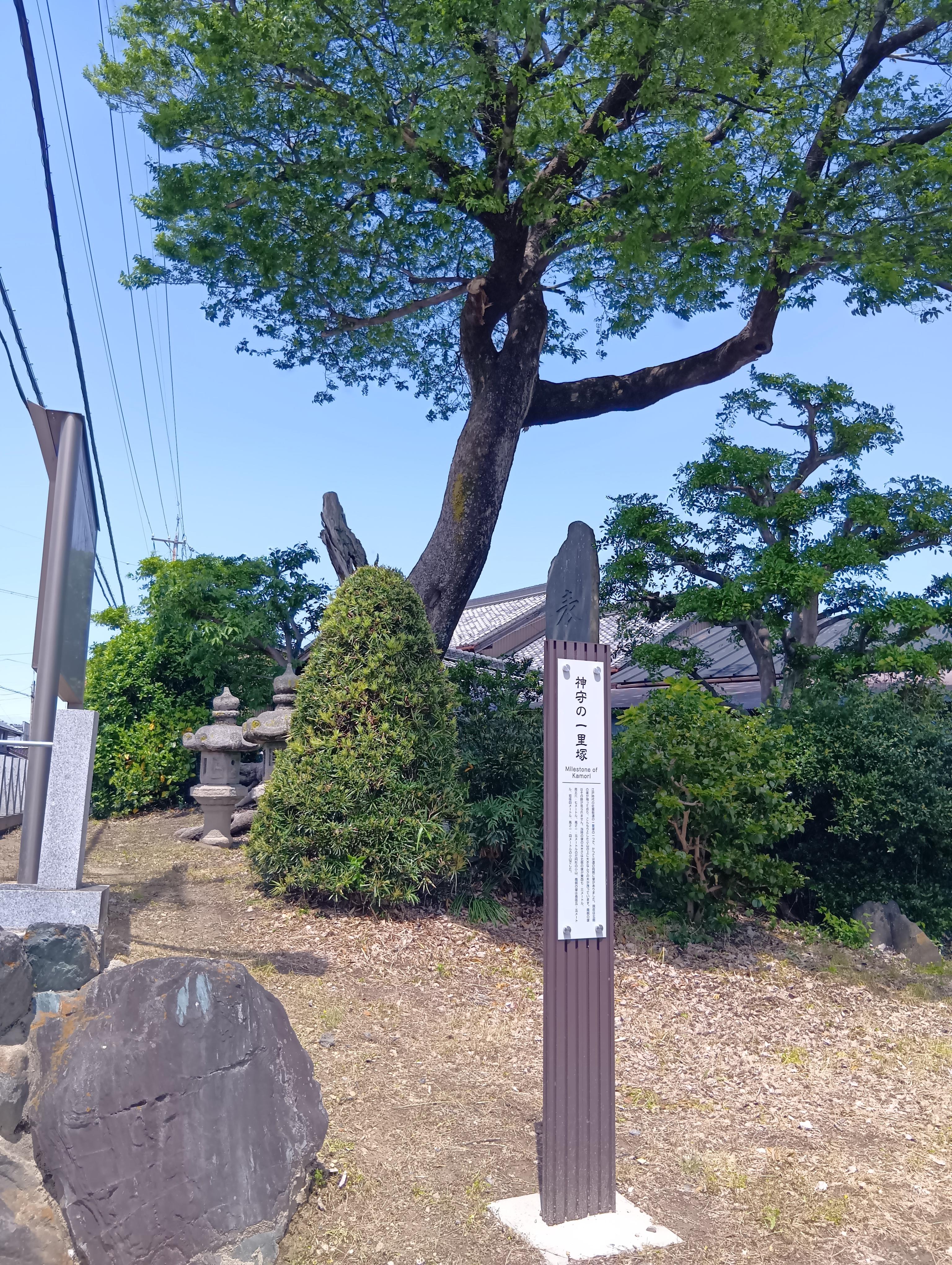 東海道のんびりウォーク 25日目 (SEASON6-2) / Yas.さんのウォーキングの活動日記 | YAMAP / ヤマップ