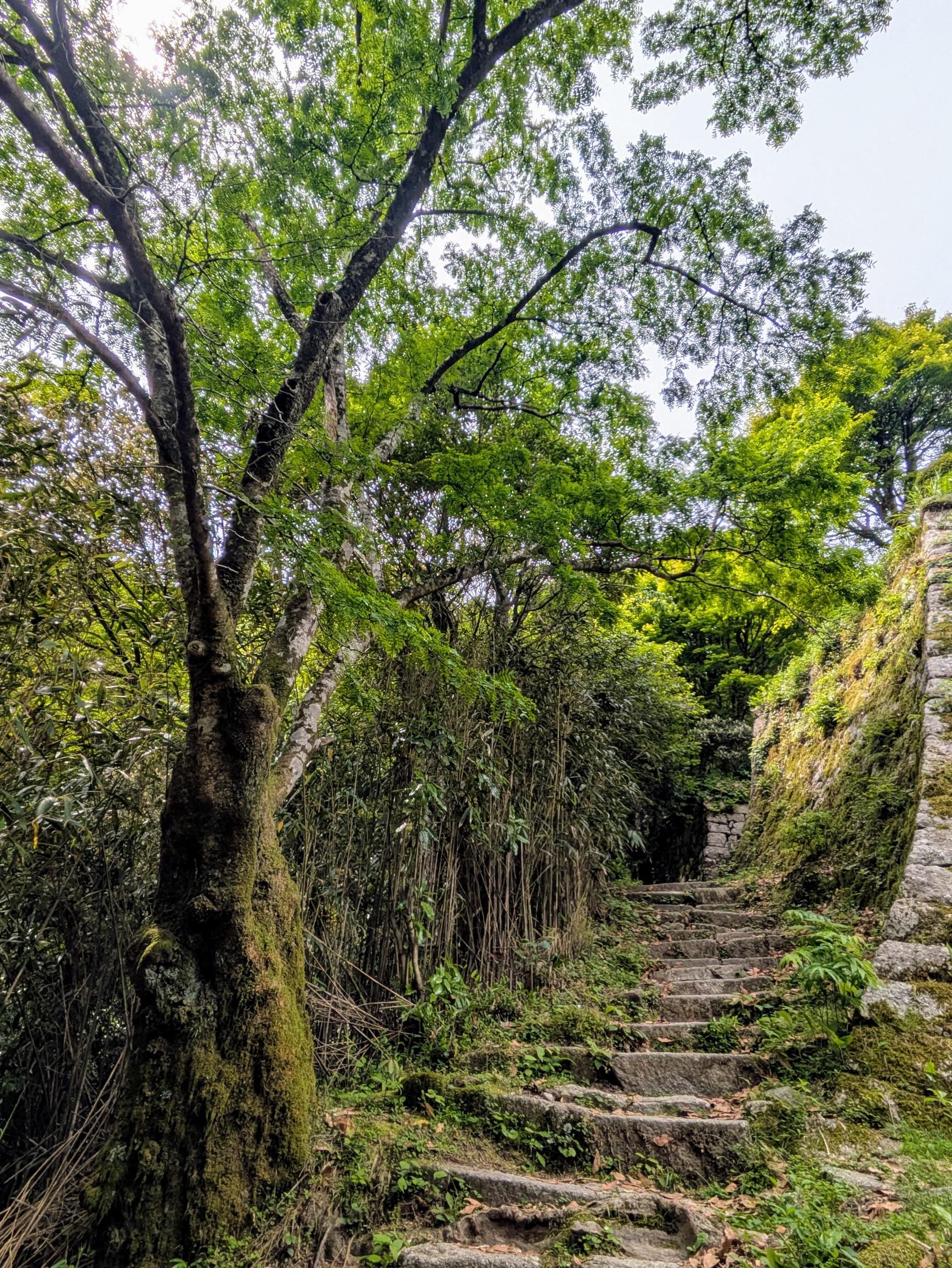 宝満山 / shiro さんの宝満山・三郡山・若杉山の活動データ | YAMAP / ヤマップ