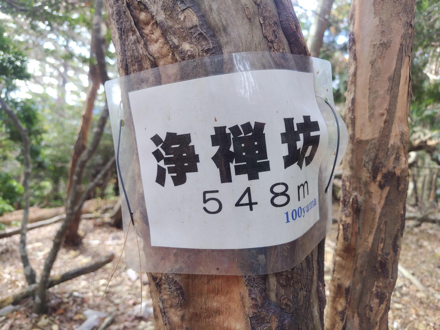 【鈴鹿300山】浄禅坊 / TOMTOMさんの綿向山の活動データ | YAMAP / ヤマップ