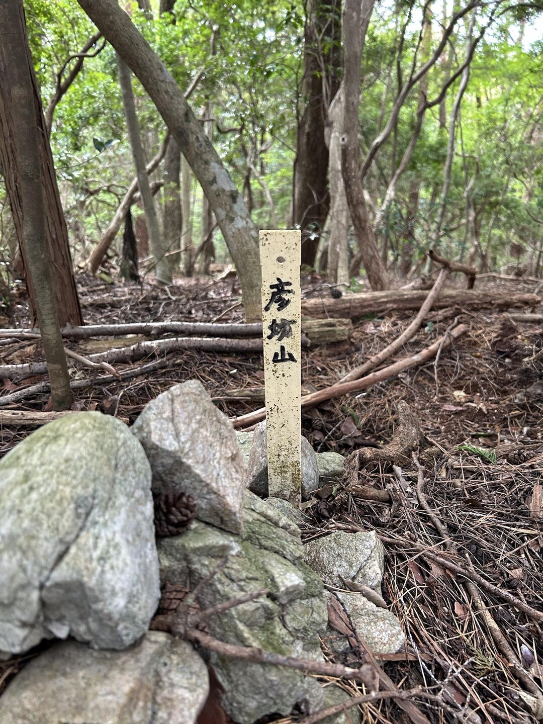 彦坊山 / あらさんさんの彦坊山の活動データ | YAMAP / ヤマップ