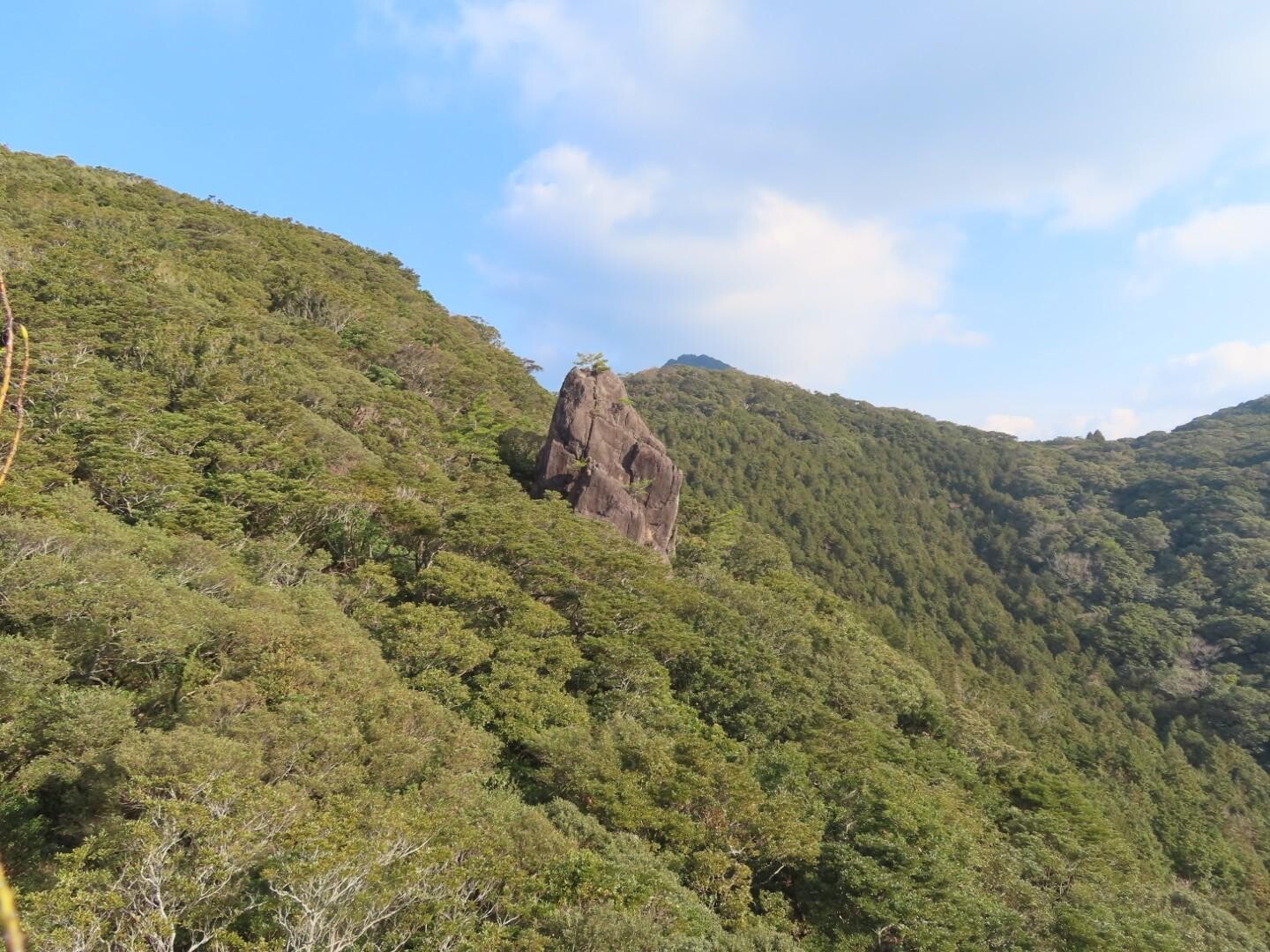 矢筈岳・鬼立岩・女岳 / kuwakichi-papaさんの矢筈岳の活動データ | YAMAP / ヤマップ