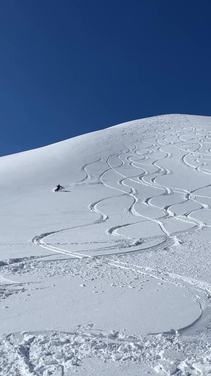 TheDay BCat男女岳（秋田駒ヶ岳） / WA1号さんの秋田駒ヶ岳・男女岳・貝吹岳の活動データ | YAMAP / ヤマップ