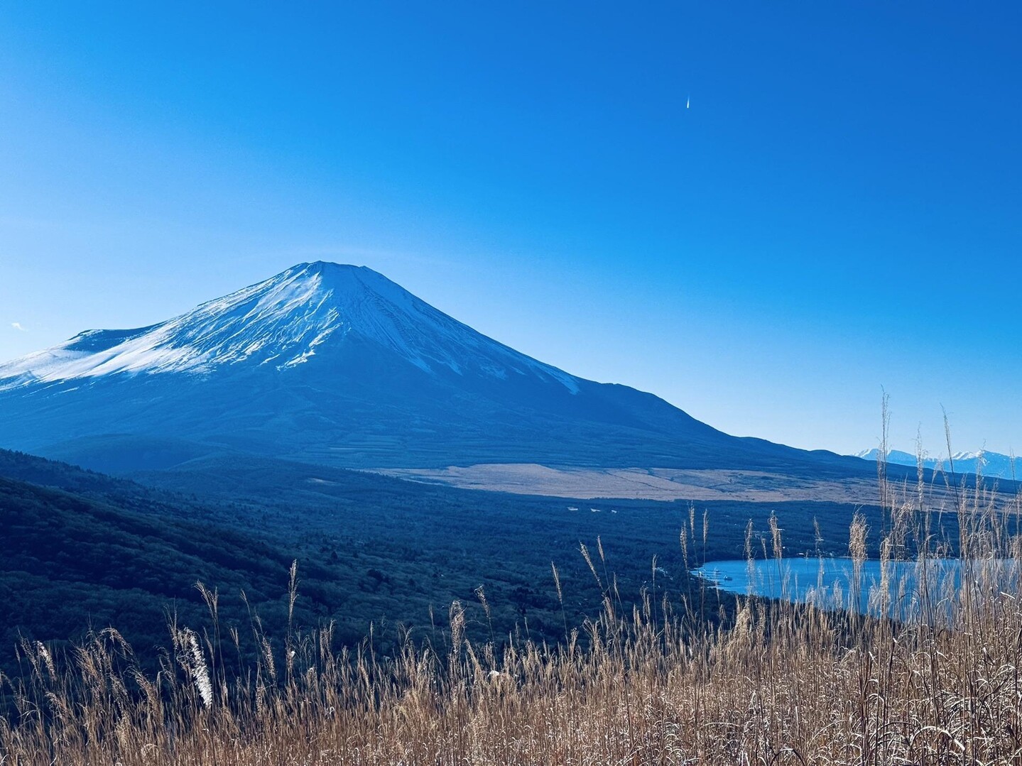 登り初めは気軽に絶景の鉄砲木ノ頭 / SS Mt.さんの三国山の活動データ | YAMAP / ヤマップ