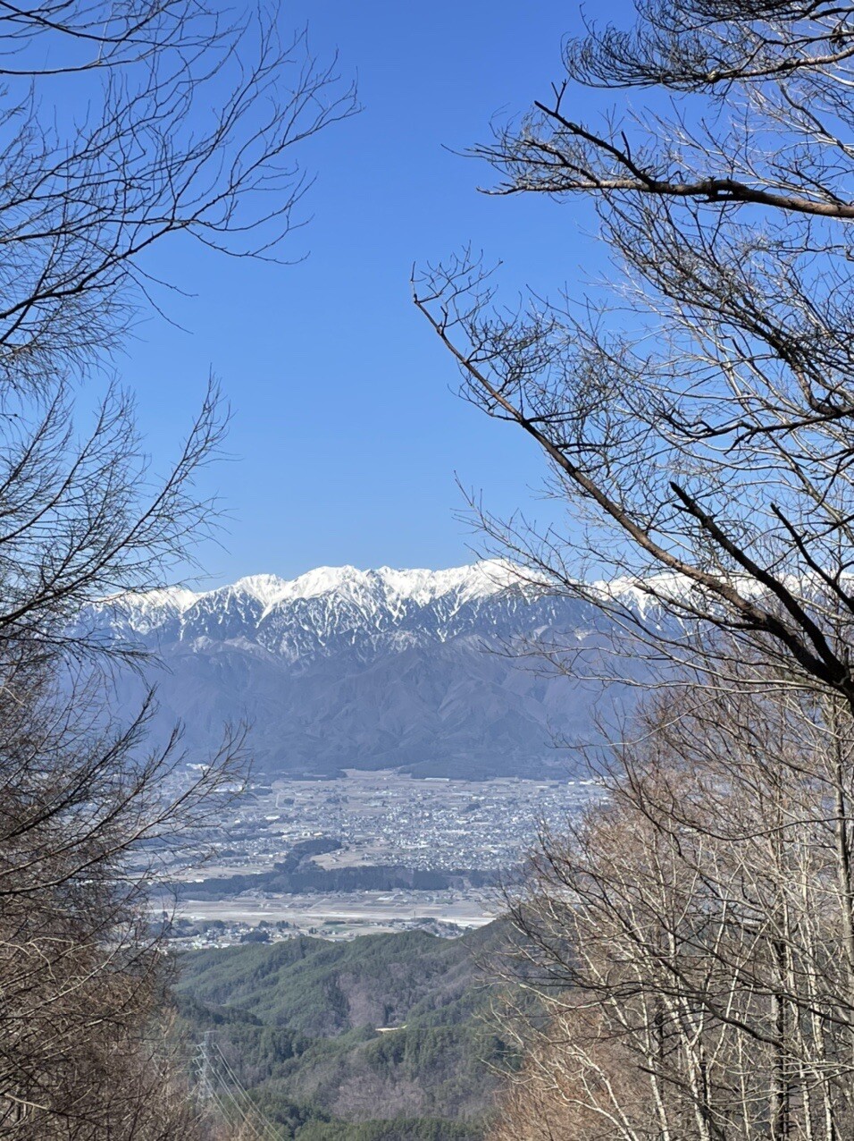 2021.3.23 戸倉山 本日はサ... / ふーさんのモーメント | YAMAP / ヤマップ