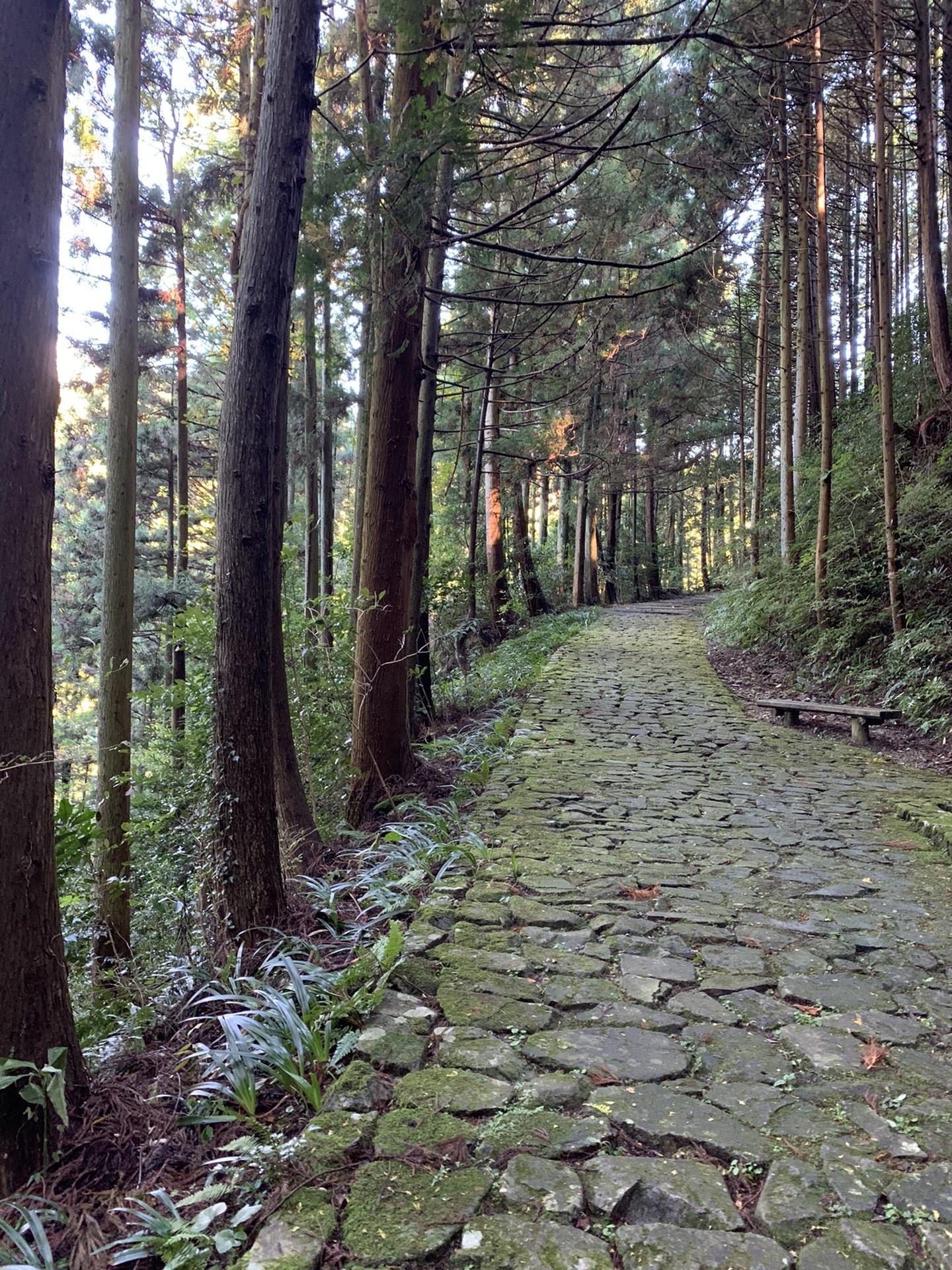 萩往還その2(佐々並市〜山口市) / Raraさんの萩往還その1（萩市〜佐々並市）の活動データ | YAMAP / ヤマップ