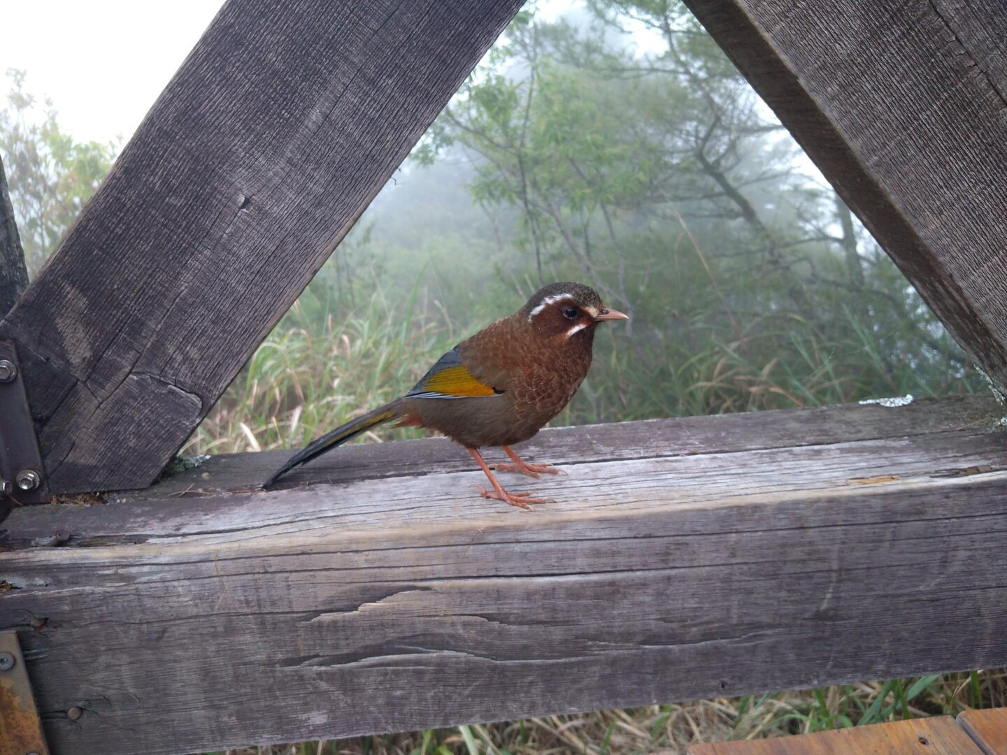 hrkのページ | YAMAP / ヤマップ