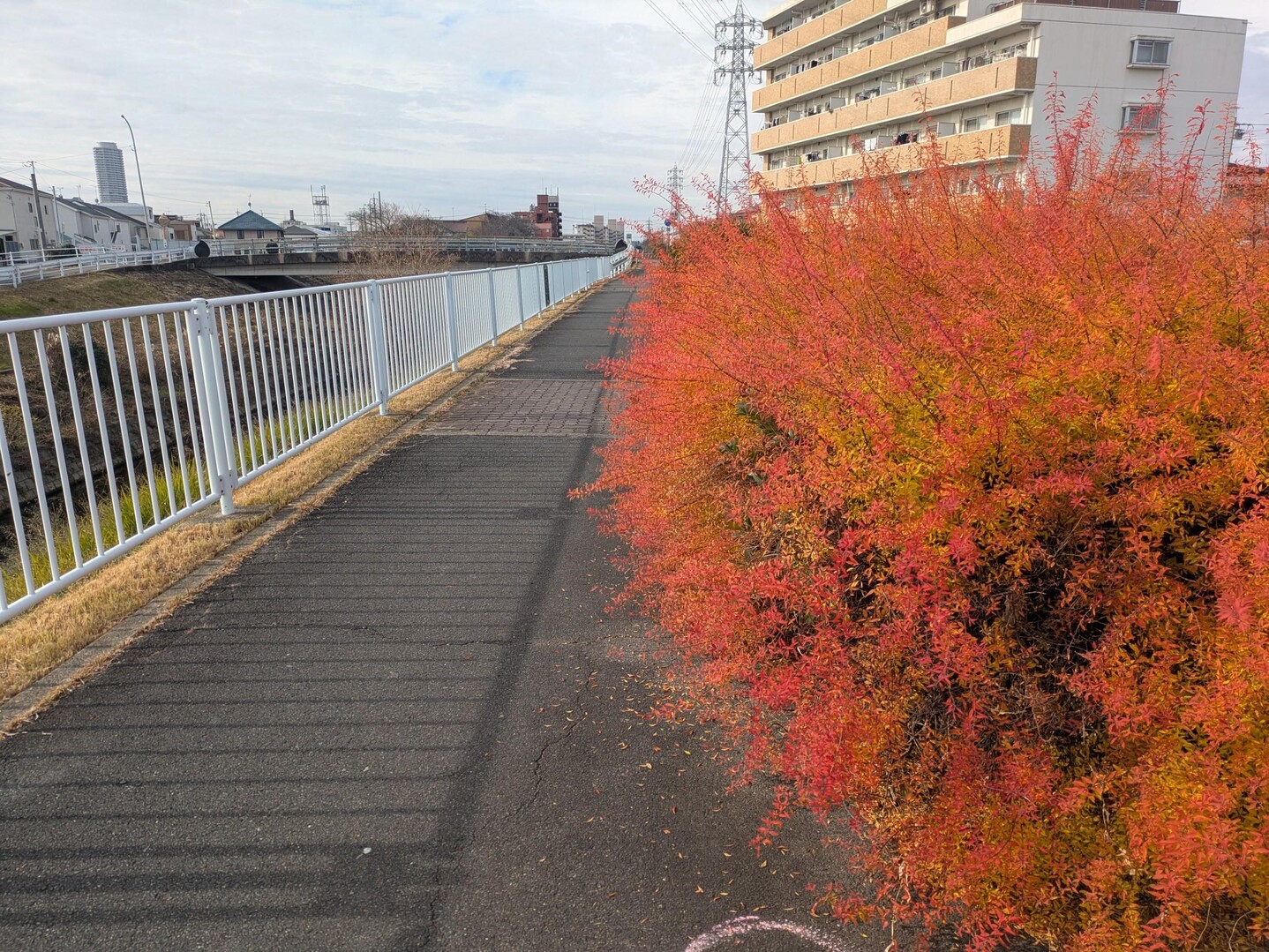 2024ラスラン🏃🔚 / hottyさんのランニングの活動データ | YAMAP / ヤマップ