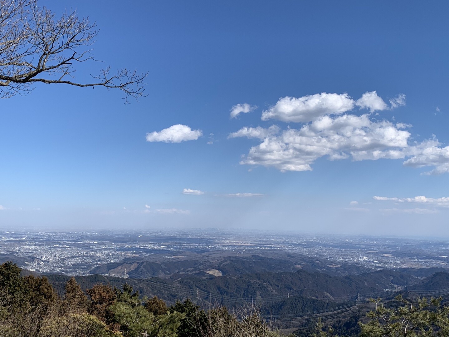 日向和田駅から日の出山・御岳山 / cosyauさんの大岳山・御岳山・御前山の活動データ | YAMAP / ヤマップ