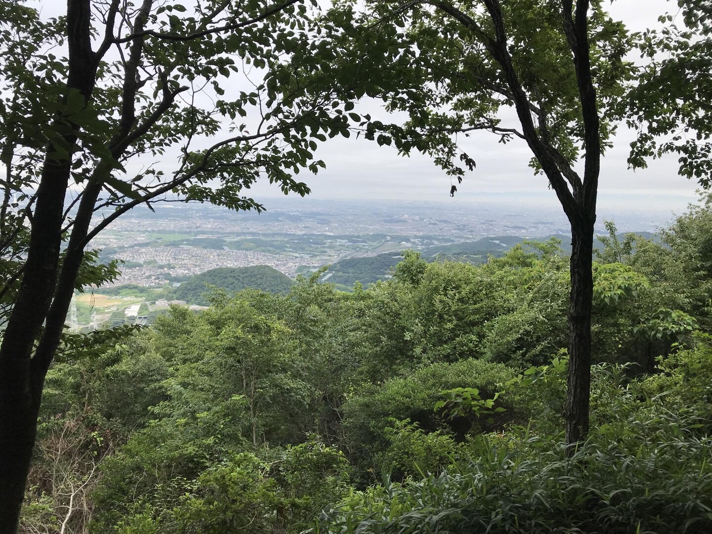 二上山360PRJ/外環銀峰尾根連絡路（出逢） / syn@二上山360マップPRJさんの金剛山・二上山・大和葛城山の活動データ | YAMAP / ヤマップ