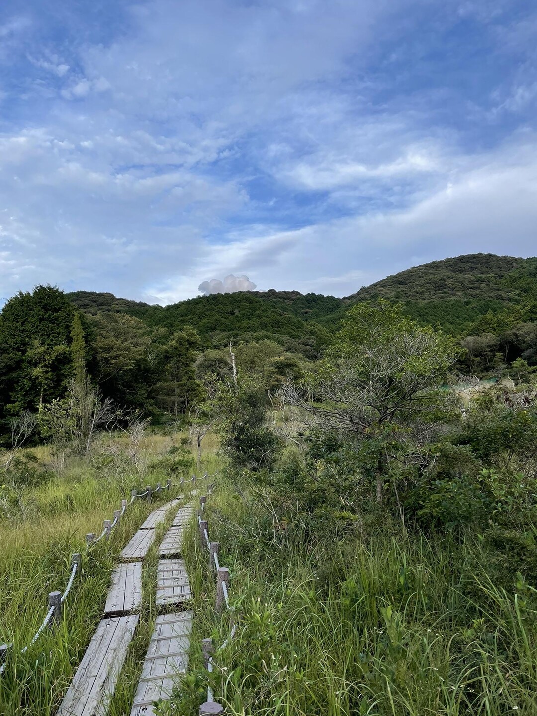坊ヶ峰・石巻山・神石山・葦毛湿原-2023-09-23 / kamaさんの坊ヶ峰・石巻山・神石山・葦毛湿原の活動データ | YAMAP / ヤマップ