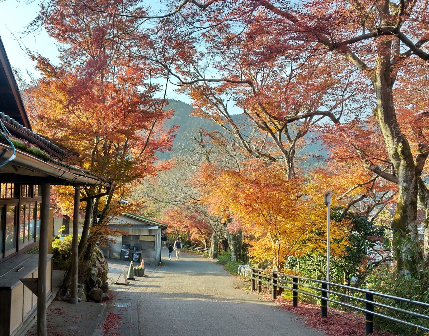 ②東山〜大原三千院 / micoさんの京都一周トレイルの活動データ | YAMAP / ヤマップ