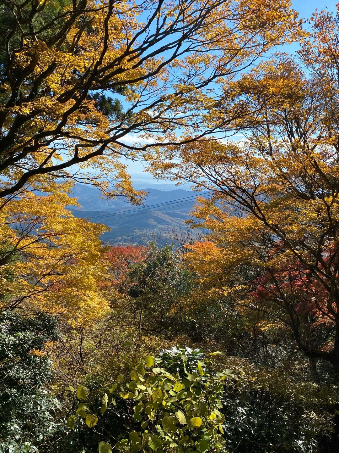 筑波山（女体山） / mikoさんの筑波山の活動データ | YAMAP / ヤマップ