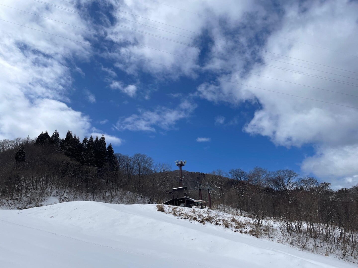 2日連続で鉢伏山（ソロ） / JOG太郎さんの鉢伏山の活動データ | YAMAP / ヤマップ