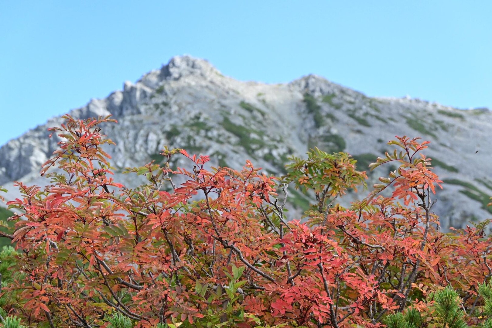 秋の気配🍁立山周回⛰️ / puku68さんの立山・雄山・浄土山の活動データ | YAMAP / ヤマップ