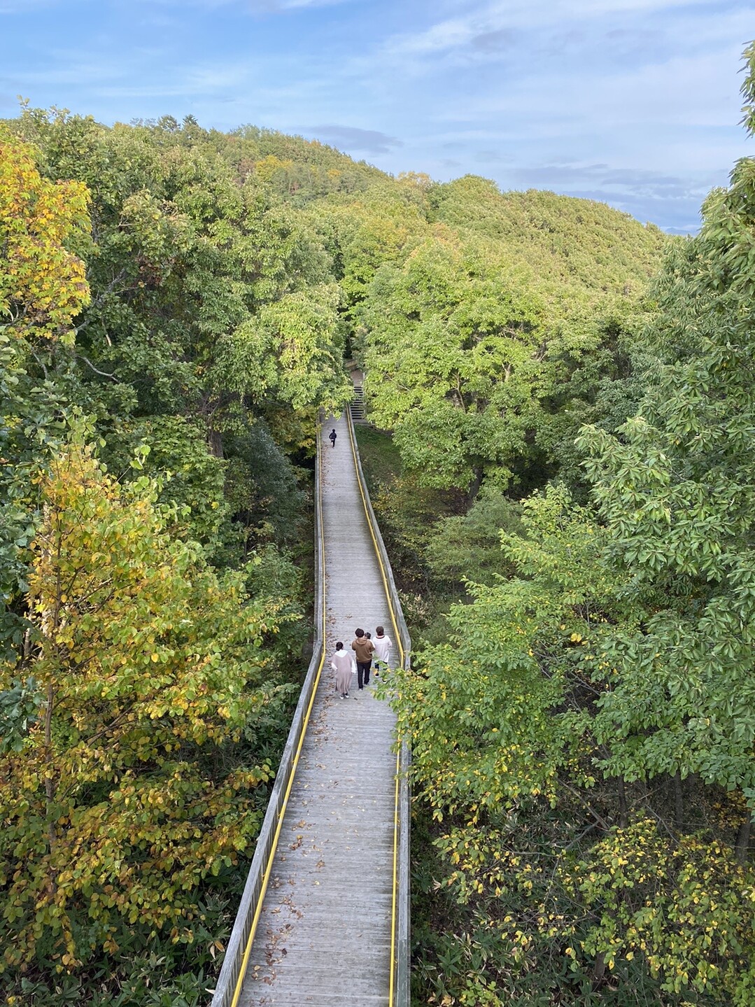 萩の山 / あどっちさんの利根別自然公園の活動データ | YAMAP / ヤマップ