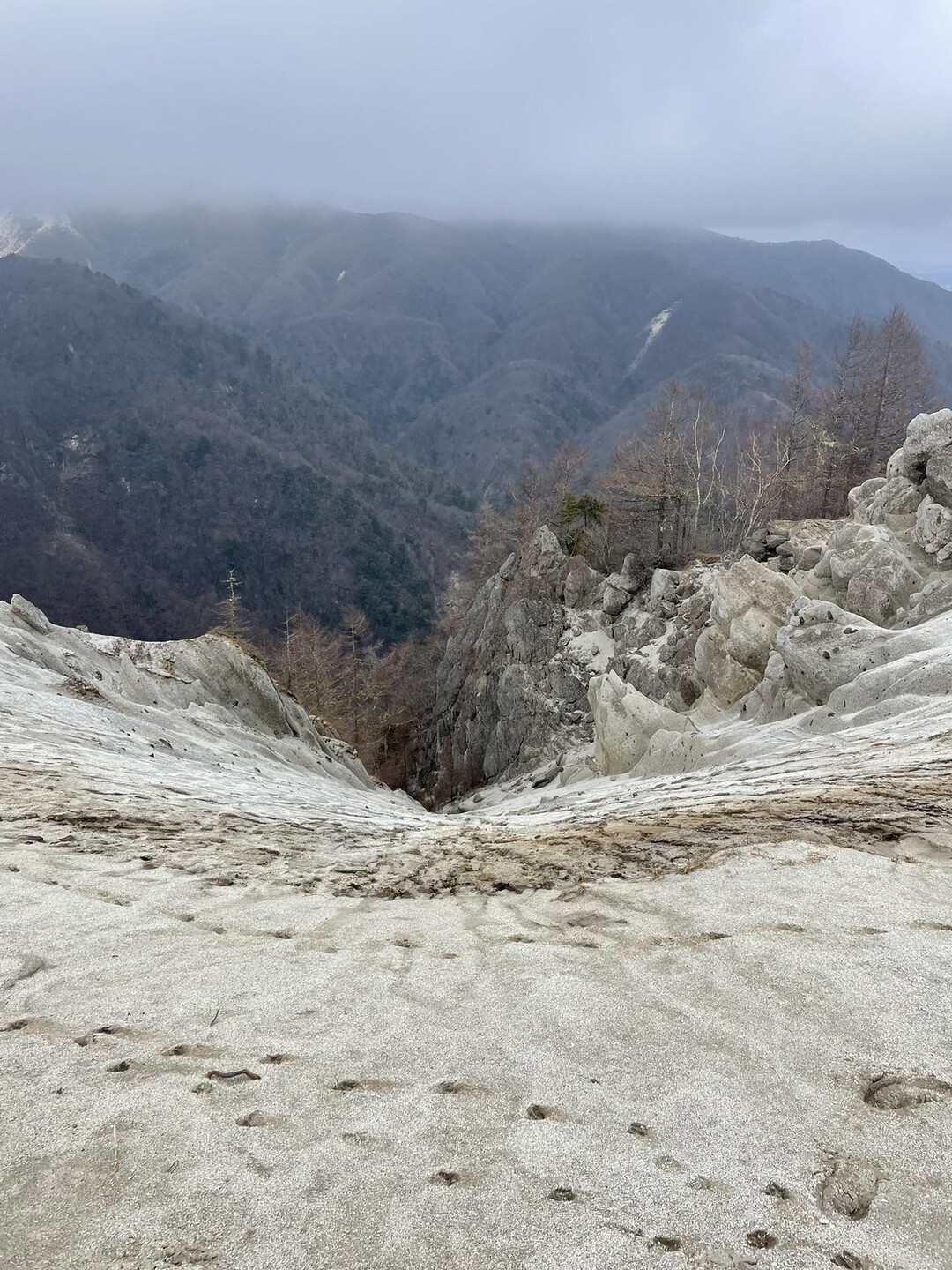 2024.04.08日向山 / tmkさんの雨乞岳の活動データ | YAMAP / ヤマップ