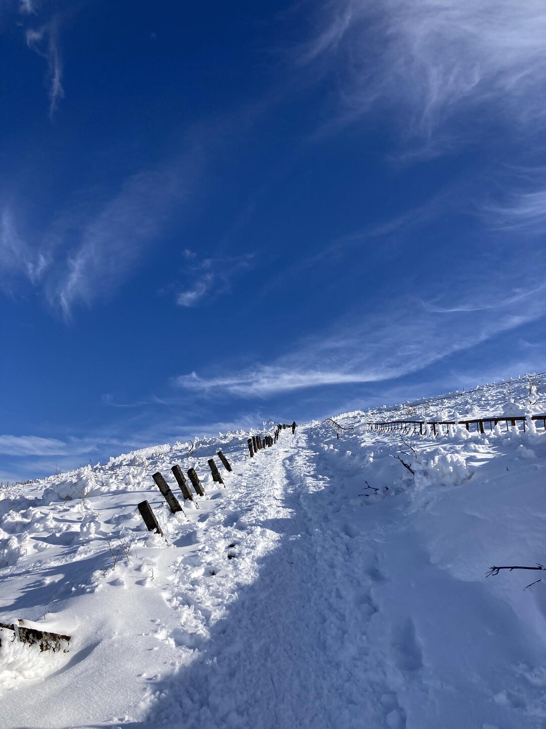 伊吹山*笹又から / maoさんの伊吹山・伊吹高原・御座峰の活動データ | YAMAP / ヤマップ