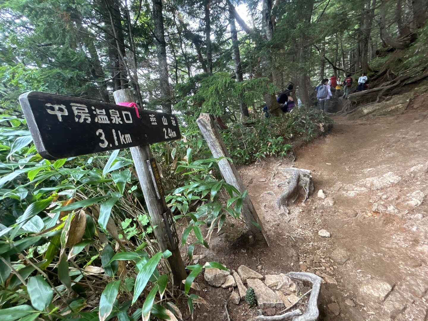 八助 (Yasuke)さんの投稿したフィールドメモ | YAMAP / ヤマップ