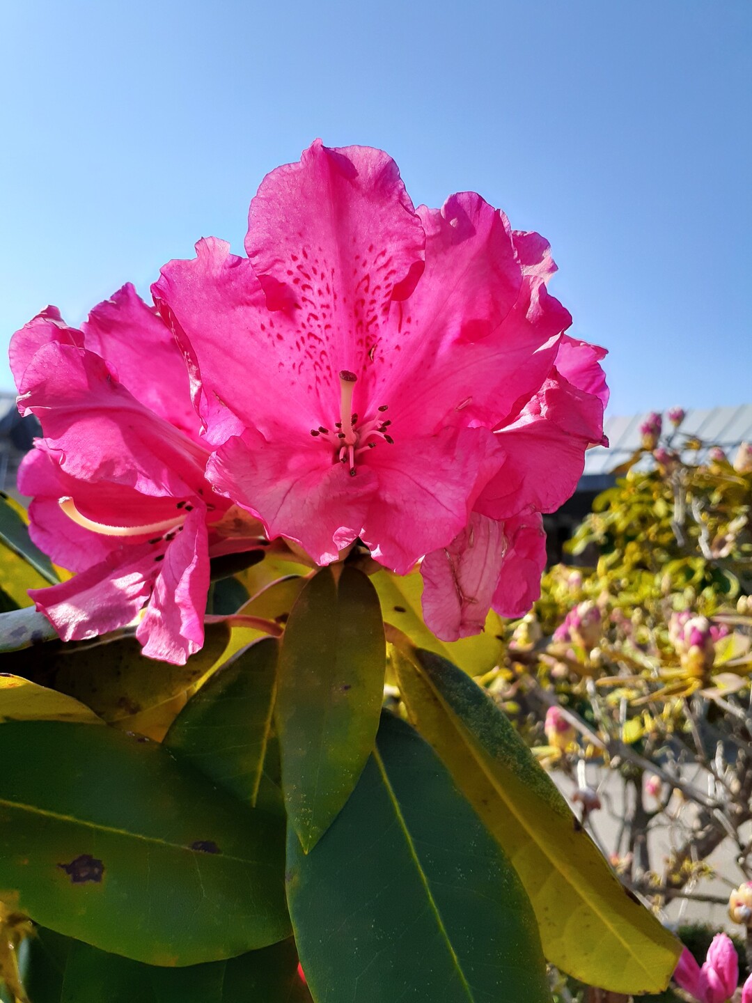 おみつ68のページ | YAMAP / ヤマップ