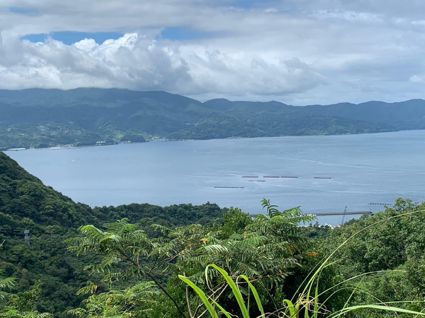 小鷲頭山・鷲頭山・志下山・象の背・徳倉山 / i-joyさんの沼津アルプス・鷲頭山・香貫山の活動日記 | YAMAP / ヤマップ