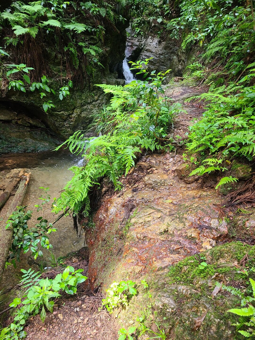 y🐻さんの投稿したフィールドメモ | YAMAP / ヤマップ