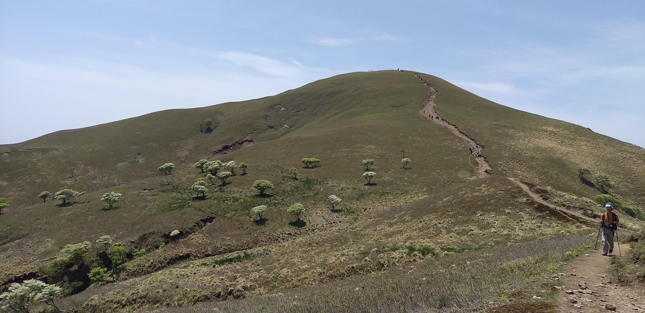 竜ヶ岳 / huuroさんの竜ヶ岳の活動データ | YAMAP / ヤマップ