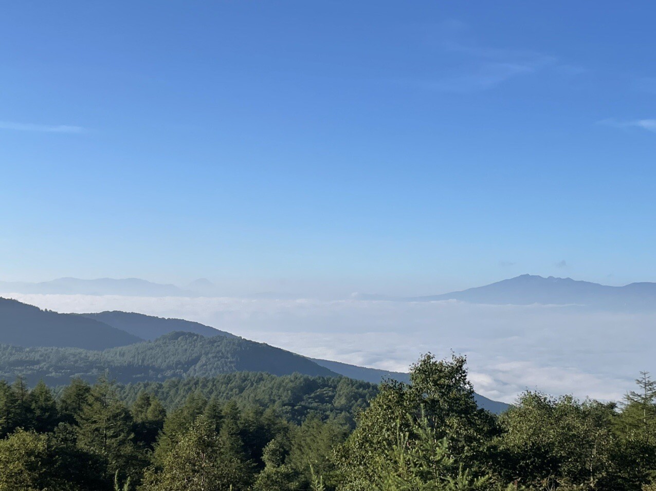 asimkさんの投稿したフィールドメモ | YAMAP / ヤマップ