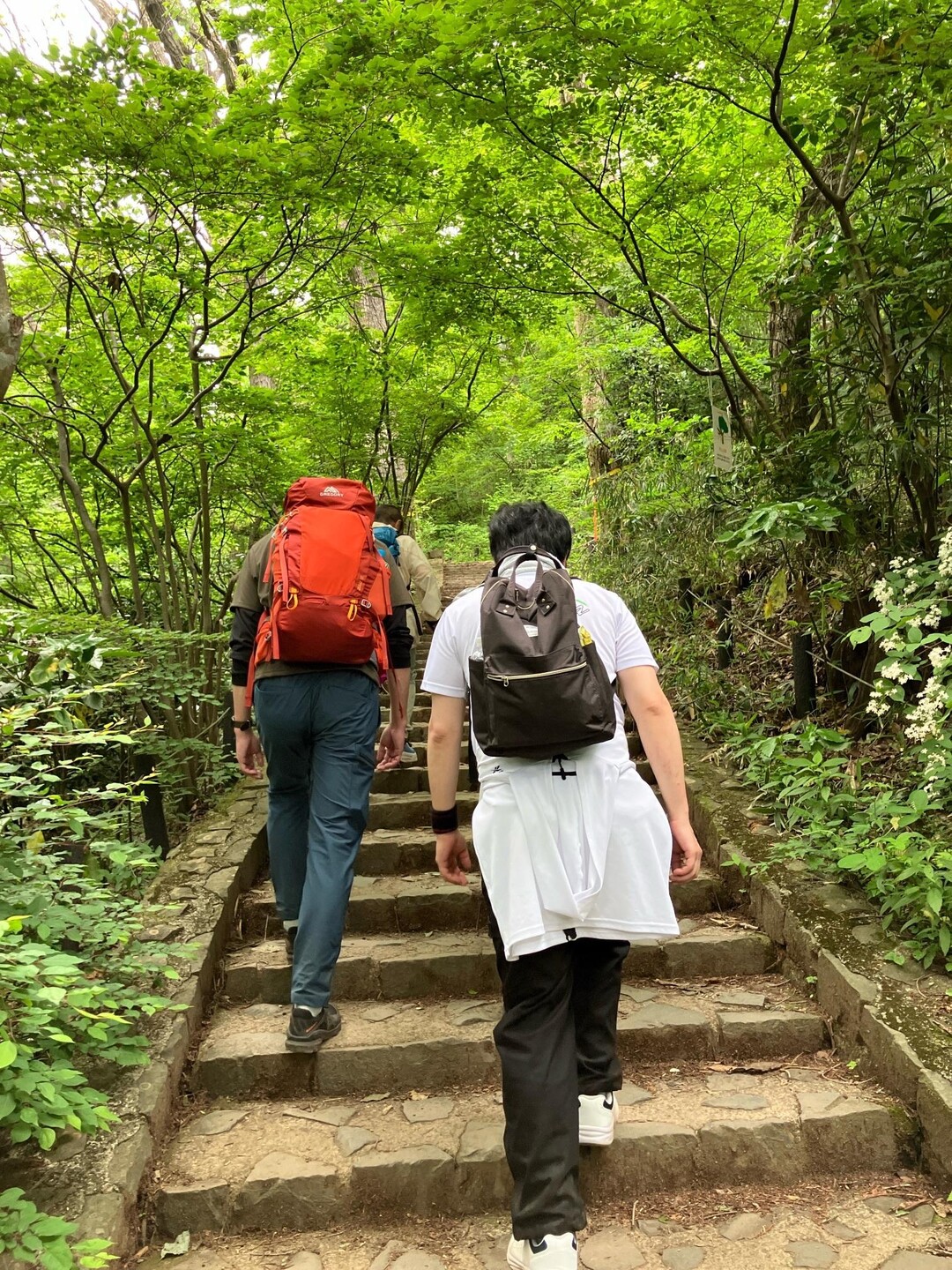 今日はみんなで裏高尾 / keep on risingさんの高尾山・陣馬山・景信山の活動データ | YAMAP / ヤマップ