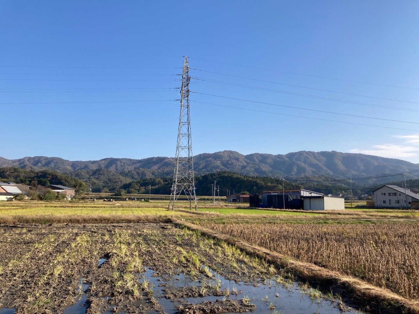 櫛形山脈 縦走！！ / mini98Dさんの櫛形山・鳥坂山・大峰山（櫛形山脈）の活動データ | YAMAP / ヤマップ