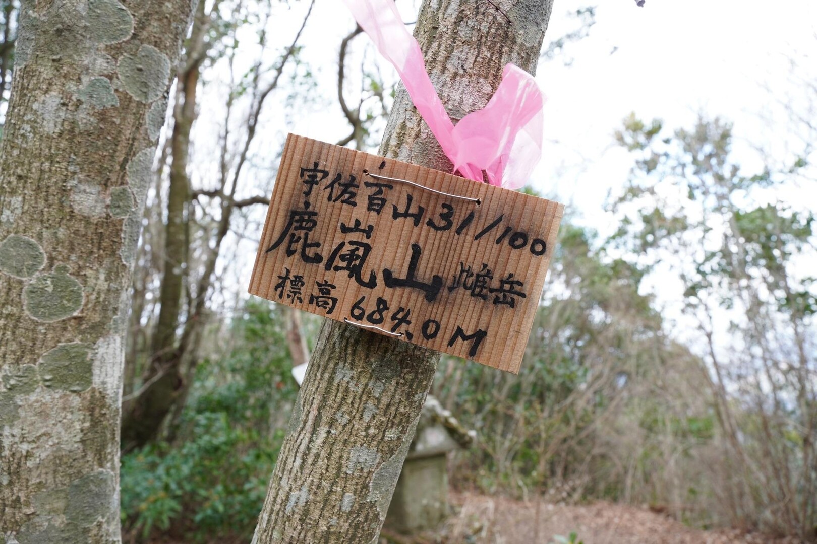 鹿嵐山(雌岳)・鹿嵐山（雄岳） / SiN.chanさんの鹿嵐山の活動データ | YAMAP / ヤマップ