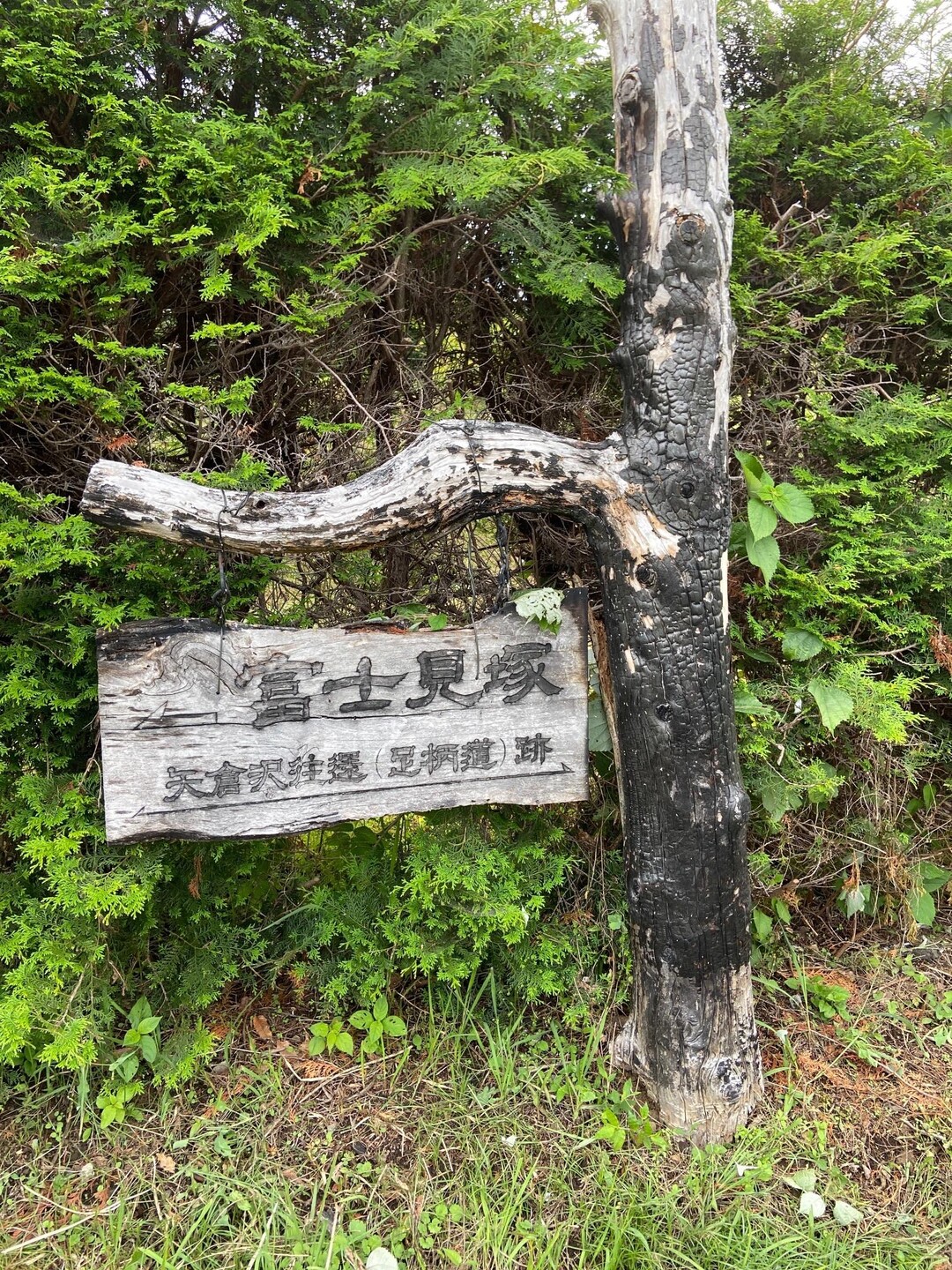 神山ウォーキング-2023-05-31 / goqooさんのウォーキングの活動データ | YAMAP / ヤマップ