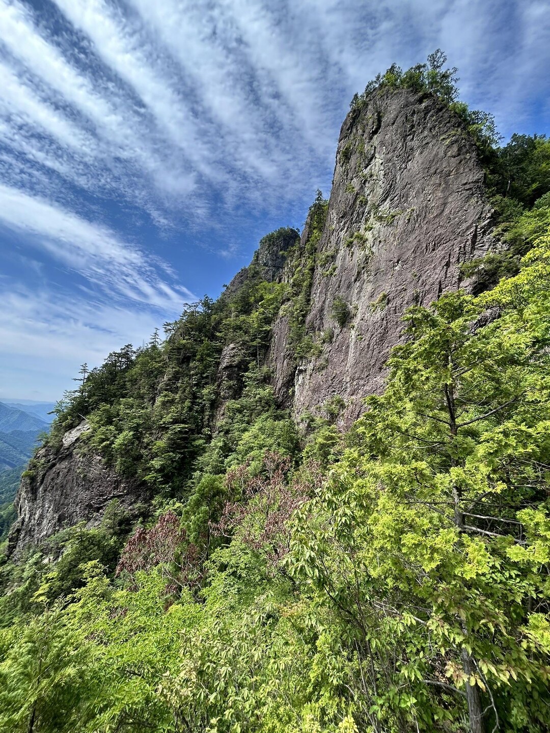 ヒルにヒルまずヒルクライム⁉️ 雪彦山 / ふじひろさんの雪彦山の活動データ | YAMAP / ヤマップ