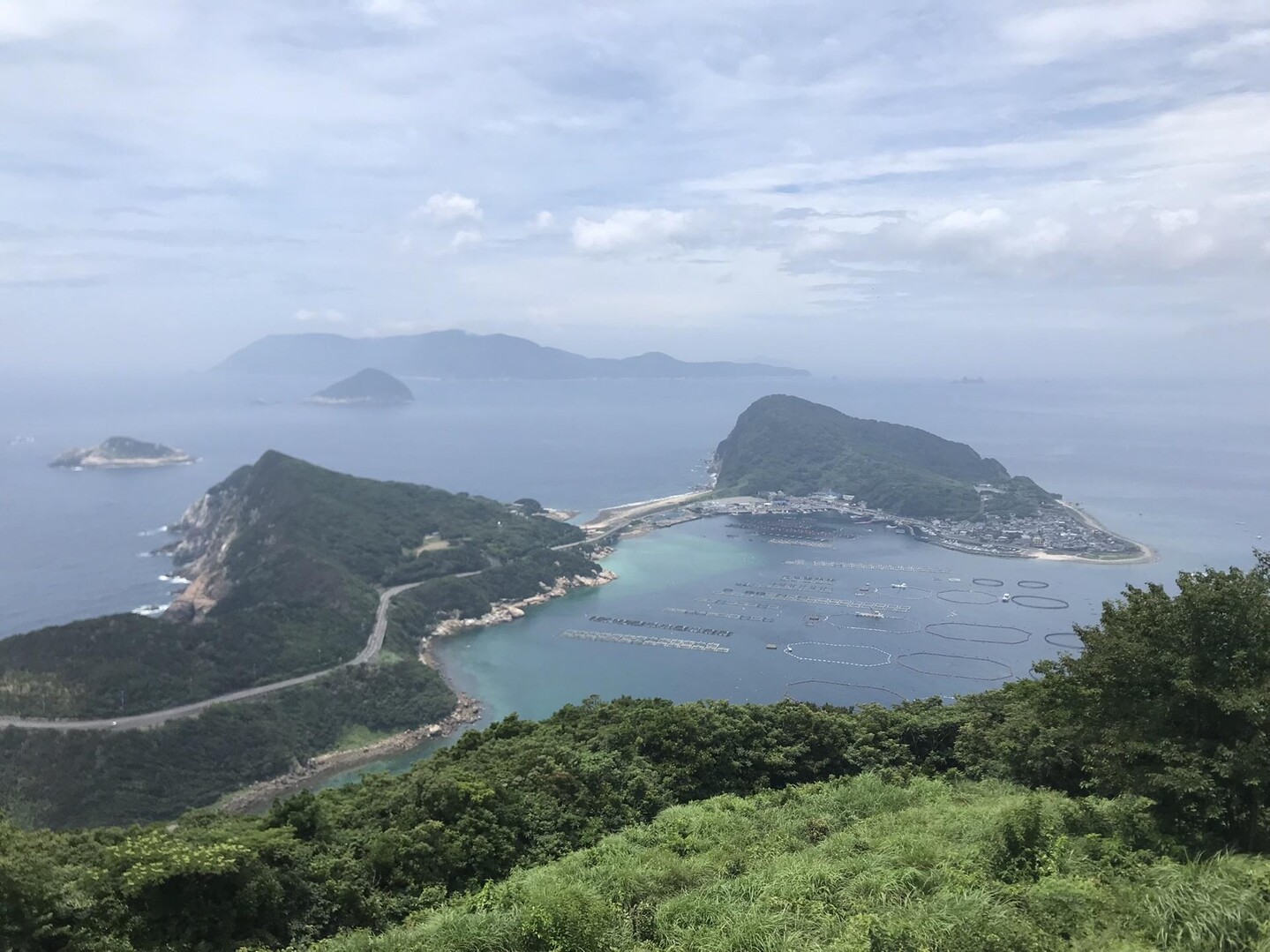 大堂山 柏島散策 / KKさんの大堂山の活動データ | YAMAP / ヤマップ