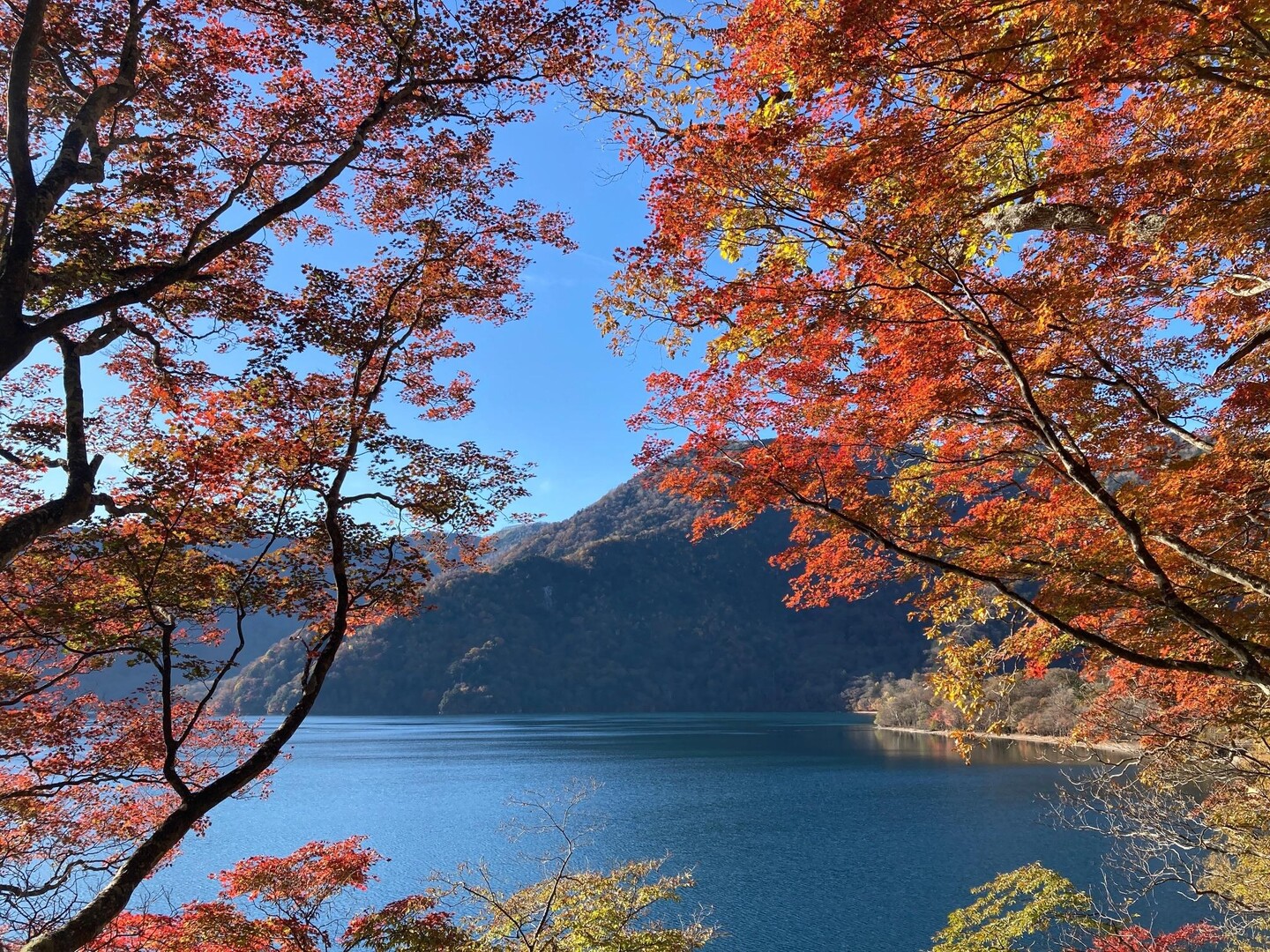 奥日光 高山 / rumixさんの日光白根山・五色山・錫ヶ岳の活動データ | YAMAP / ヤマップ