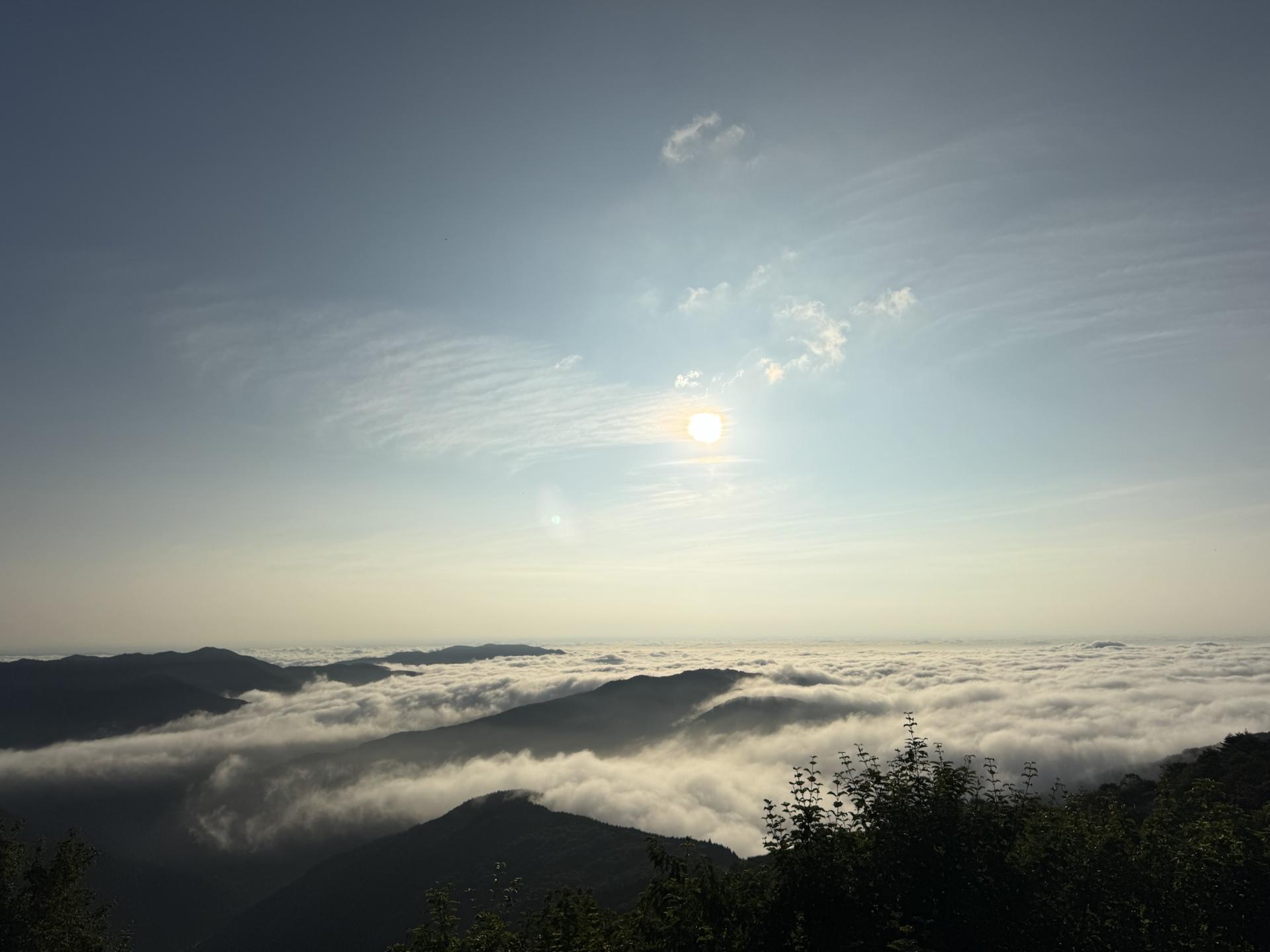 伊吹山 / cb flickさんの伊吹山・伊吹高原・御座峰の活動データ | YAMAP / ヤマップ