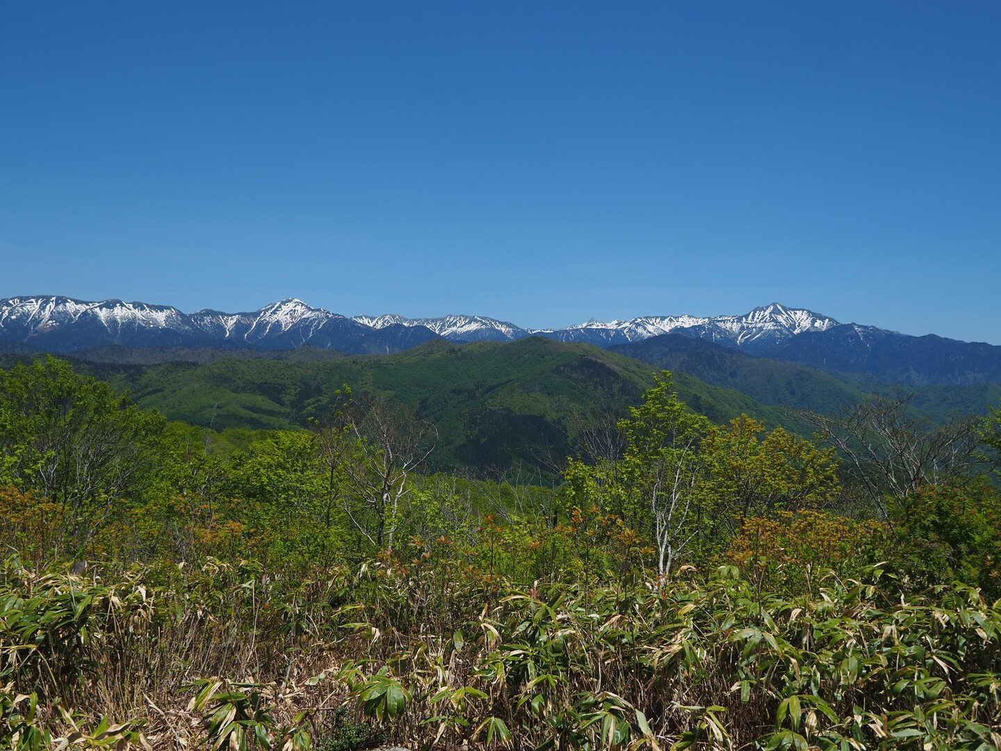 天蓋山 / ICHI JUNさんの天蓋山・大鼠山の活動データ | YAMAP / ヤマップ