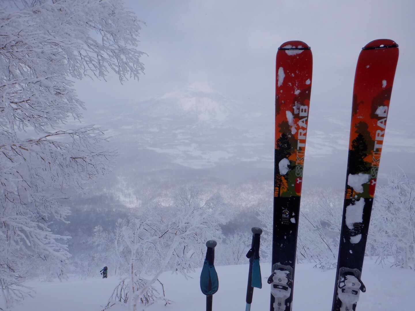 羊蹄山BC（比羅夫） / sapさんの羊蹄山（蝦夷富士）の活動データ | YAMAP / ヤマップ