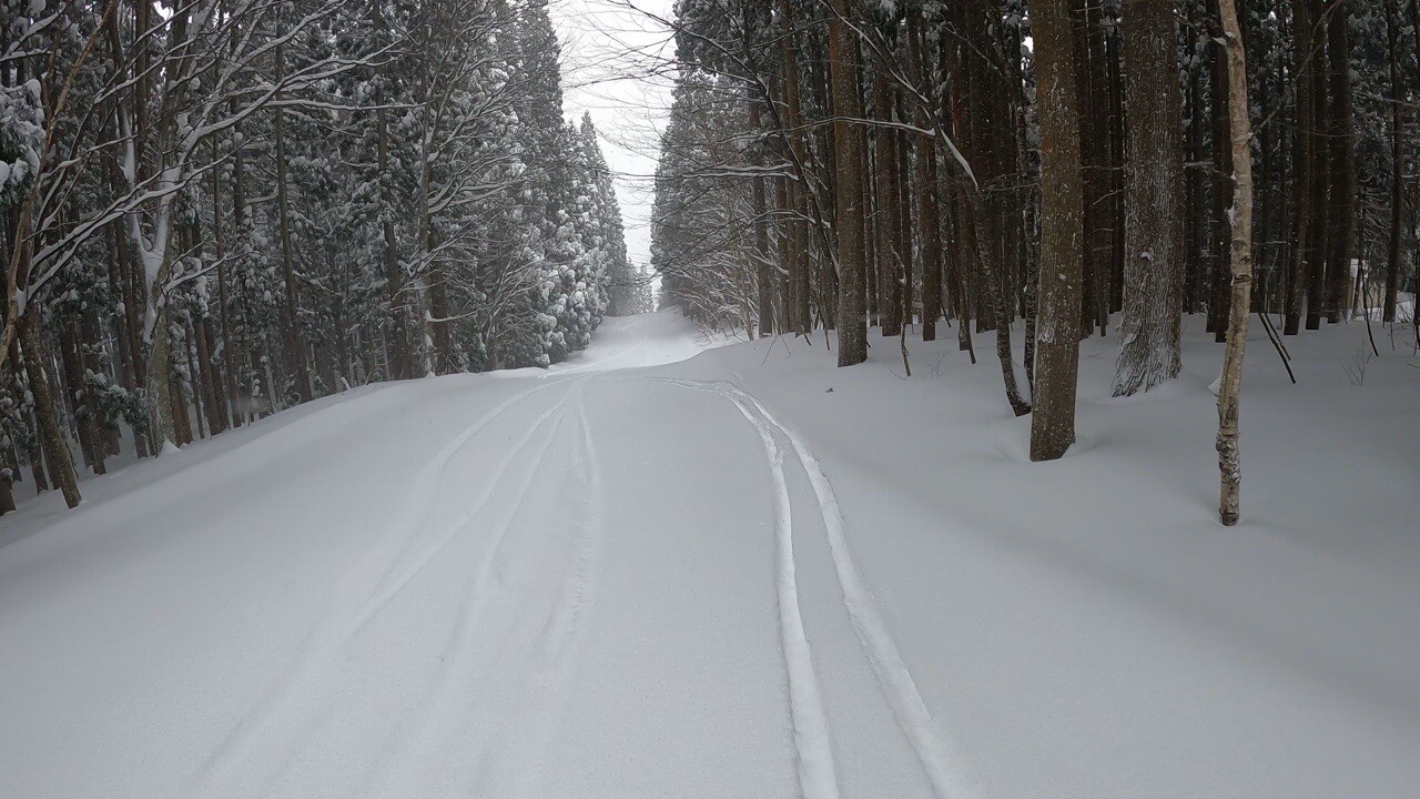 ハチ北 最強寒波襲来 どパウダー😊👍... / S.Uさんのモーメント | YAMAP / ヤマップ