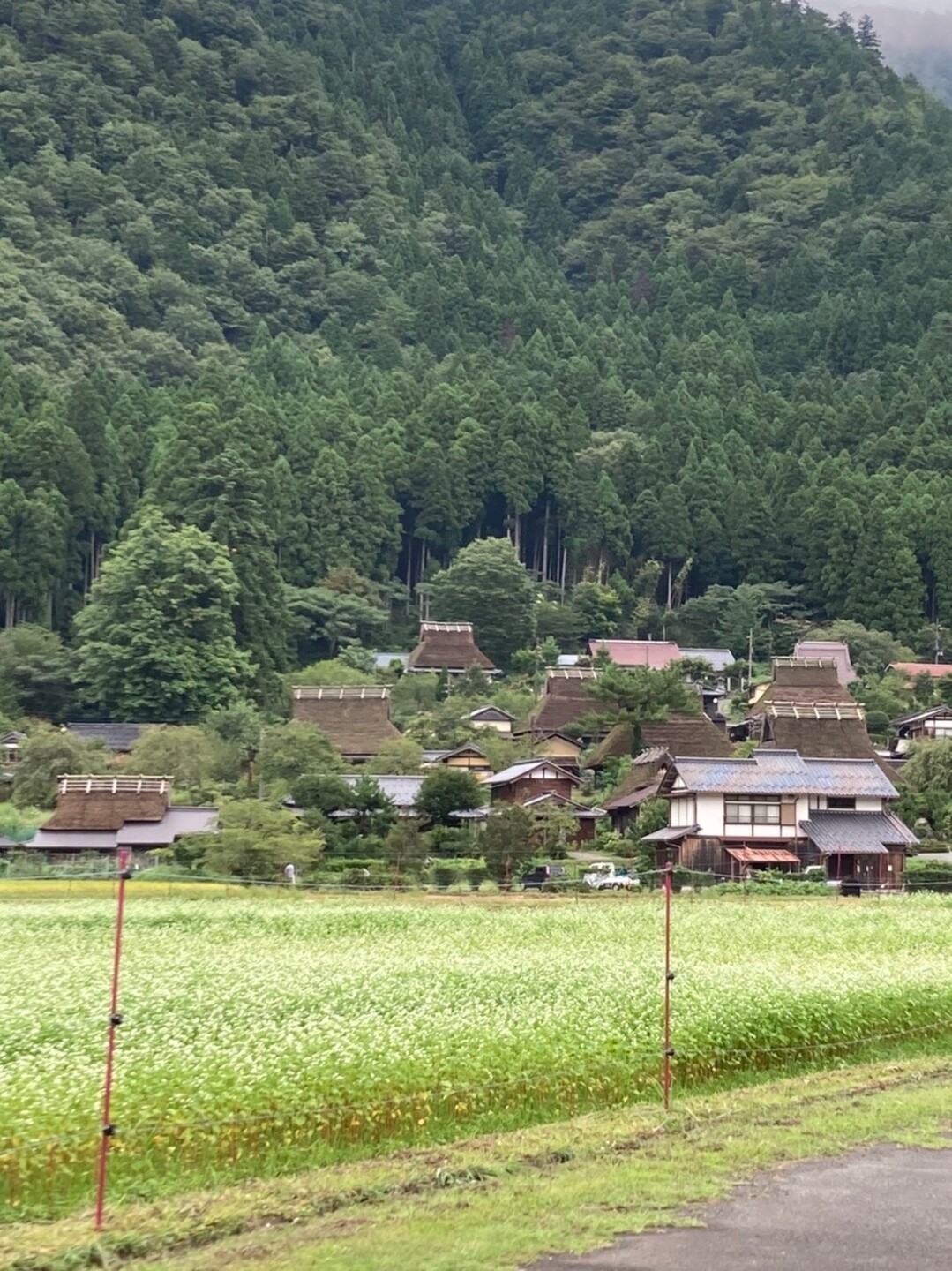 八ヶ峰 / t_konさんの八ヶ峰の活動データ | YAMAP / ヤマップ