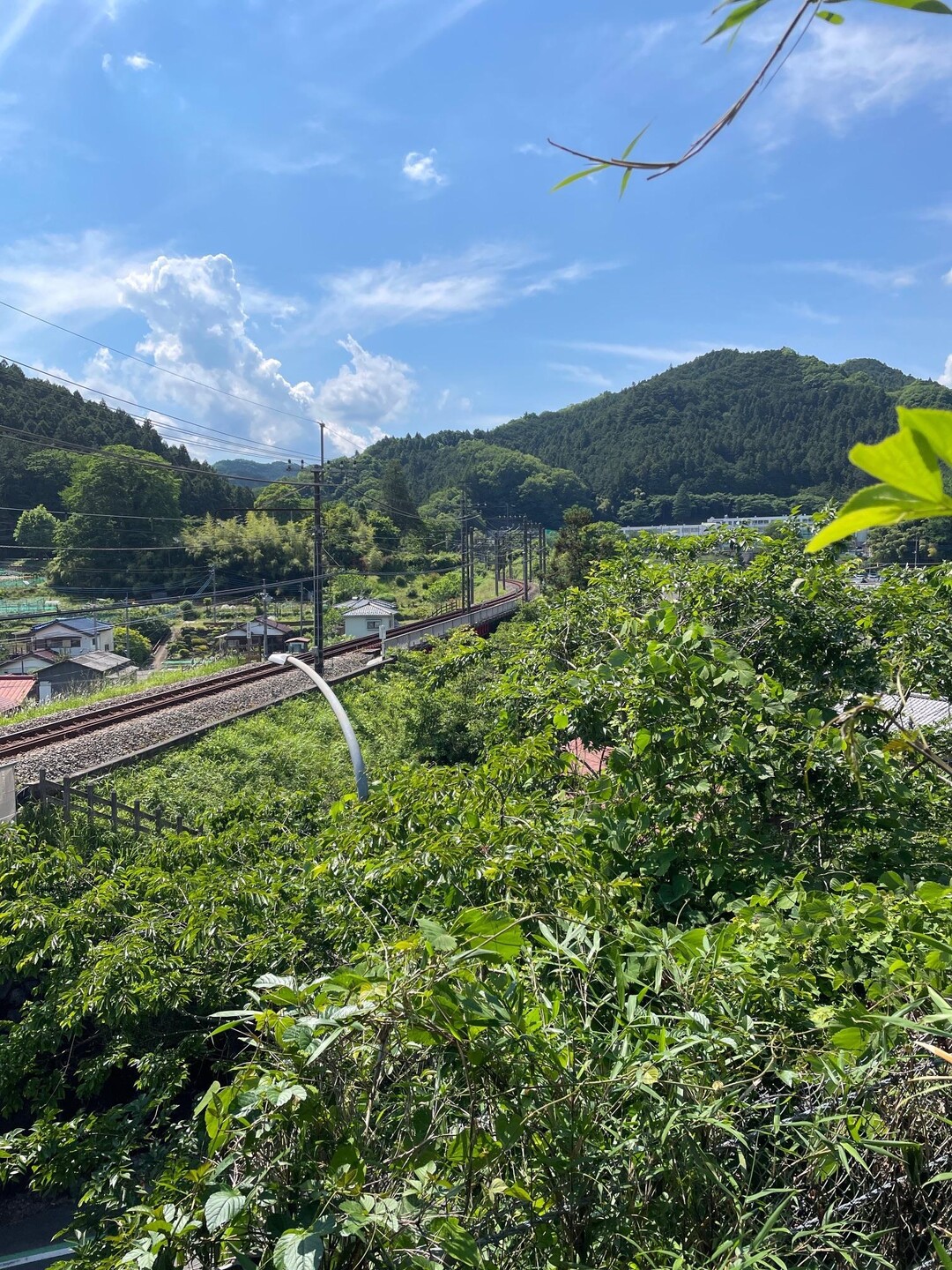 橋本山・虎秀山・鶴ヶ峰・宝山（後ロ山）・育代山・りゅうがい山 / kozyさんの天覧山・多峯主山・天覚山の活動データ | YAMAP / ヤマップ