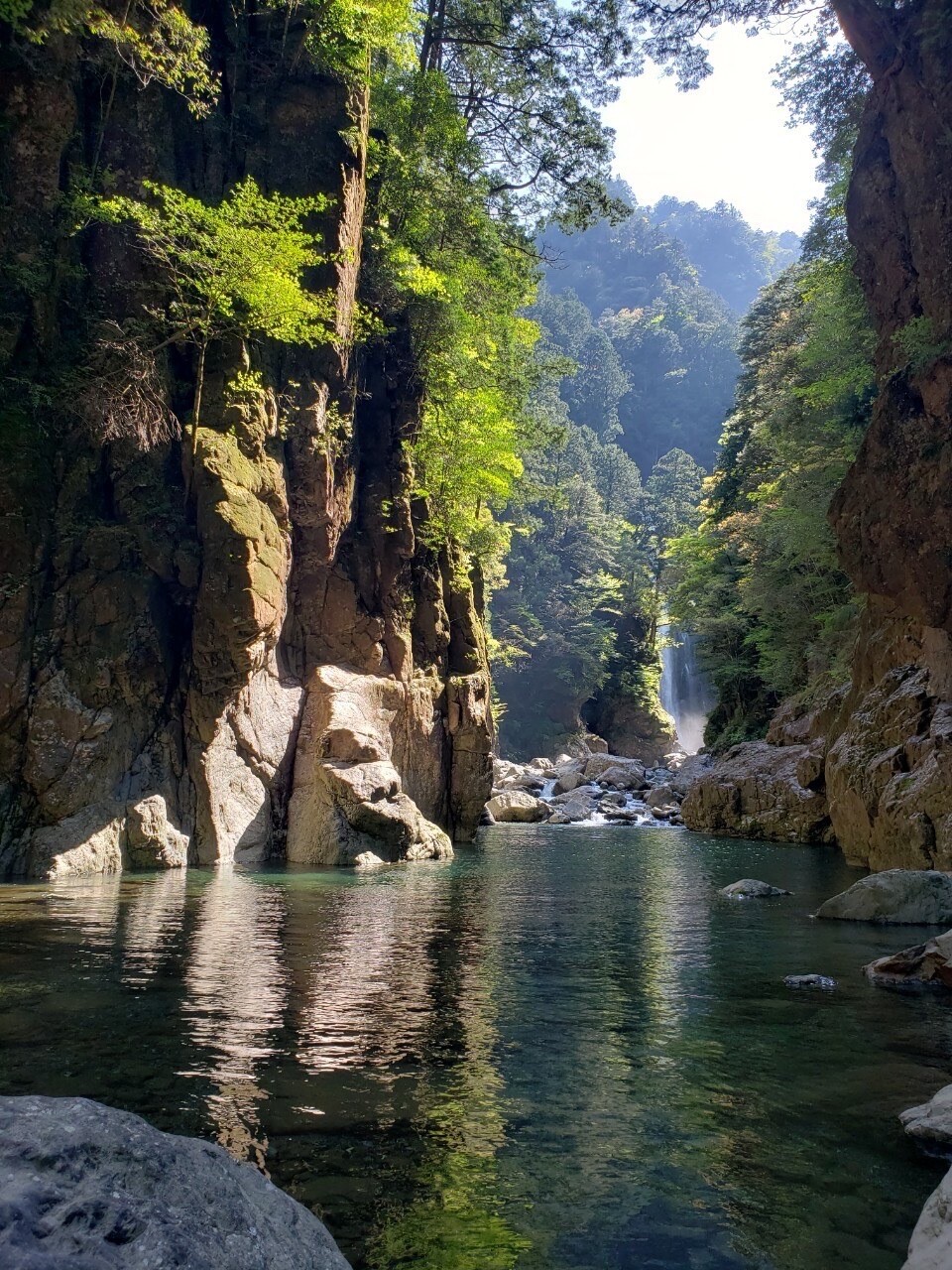 大台ヶ原山（日出ヶ岳） / maya_ponさんの大台ヶ原山・日出ヶ岳・大杉谷の活動データ | YAMAP / ヤマップ