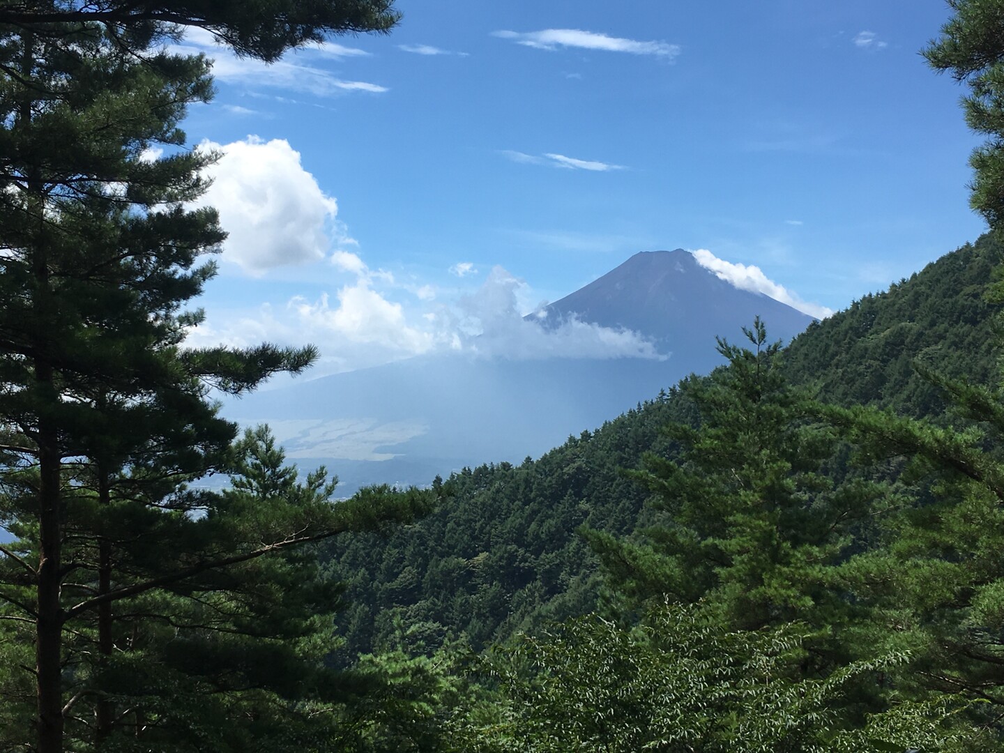 2019-09-02三ッ峠山 / sayさんの三ッ峠山・本社ヶ丸・鶴ヶ鳥屋山の活動日記 | YAMAP / ヤマップ