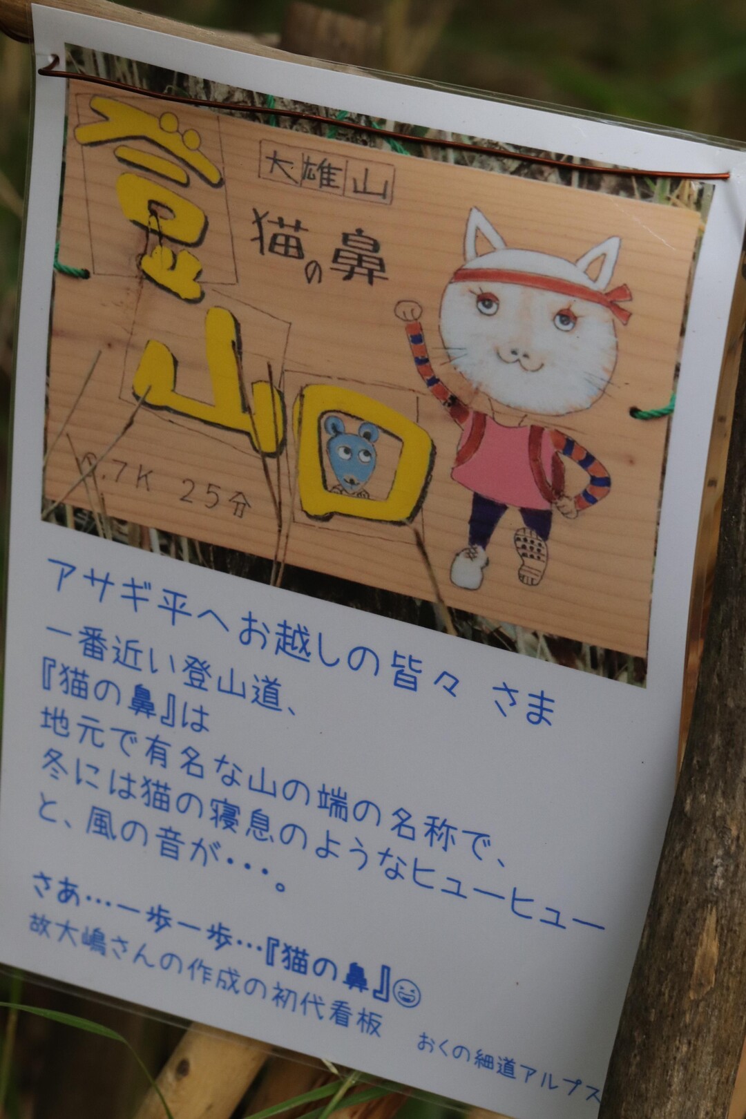 大雄山 - 途中で挫折、撤退だ / R1さんのダンガメ山・大雄山・おくの細道アルプスの活動データ | YAMAP / ヤマップ