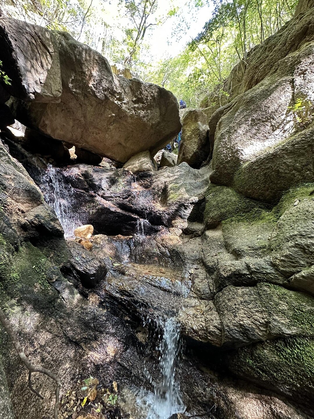 芦屋地獄谷へGO‼️ 地獄谷→万物相→荒地山 / ryosui_ さんの六甲山・長峰山・摩耶山の活動データ | YAMAP / ヤマップ